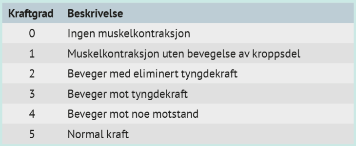 BEHANDLING AV DROPPFOT ETTER SKADE AV NERVUS PERONEUS - Kirurgen