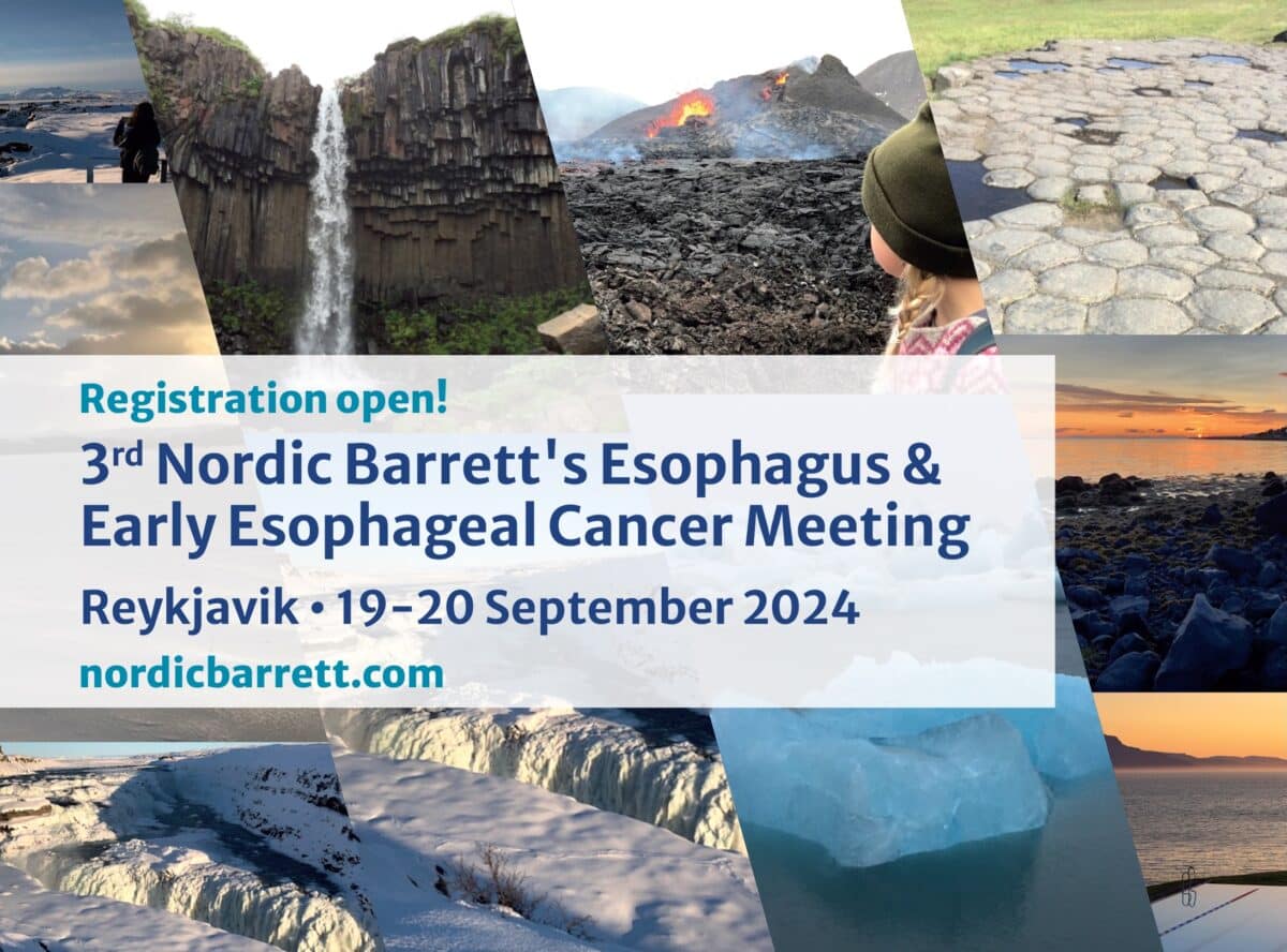 Behandling av rectumprolaps - Kirurgen